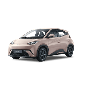 BYD DOLPHIN MINI (ELETRICO) 2024/2024 Rosa Metálica - UseCar